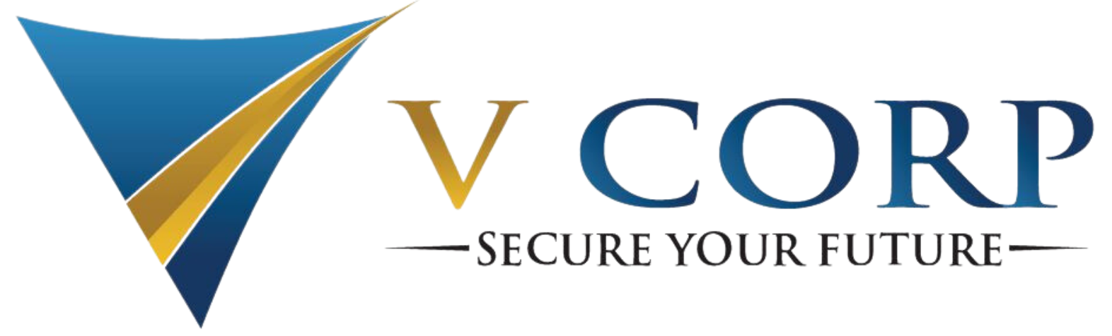Home - V Corp